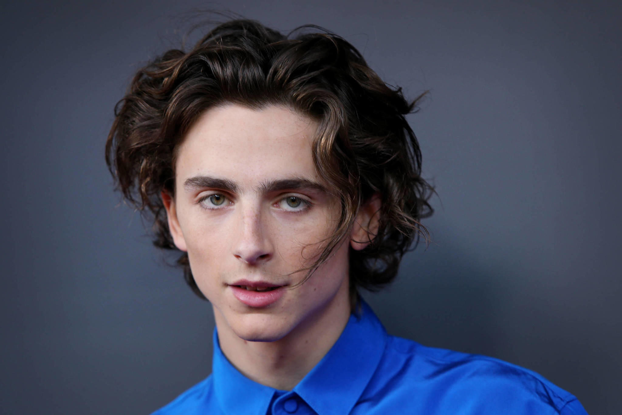 Oscars 2024: Wo war Timothée Chalamet? - Musikexpress