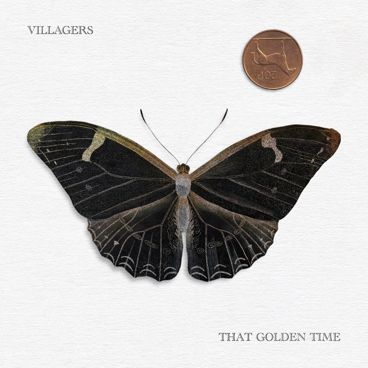 Villagers kündigt neues Album an und teilt erste Single – hier hören ...