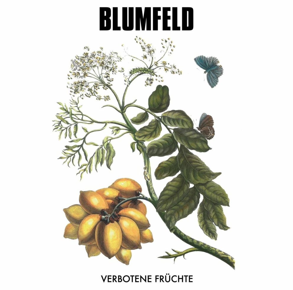 Blumfeld: Die Alben im Ranking