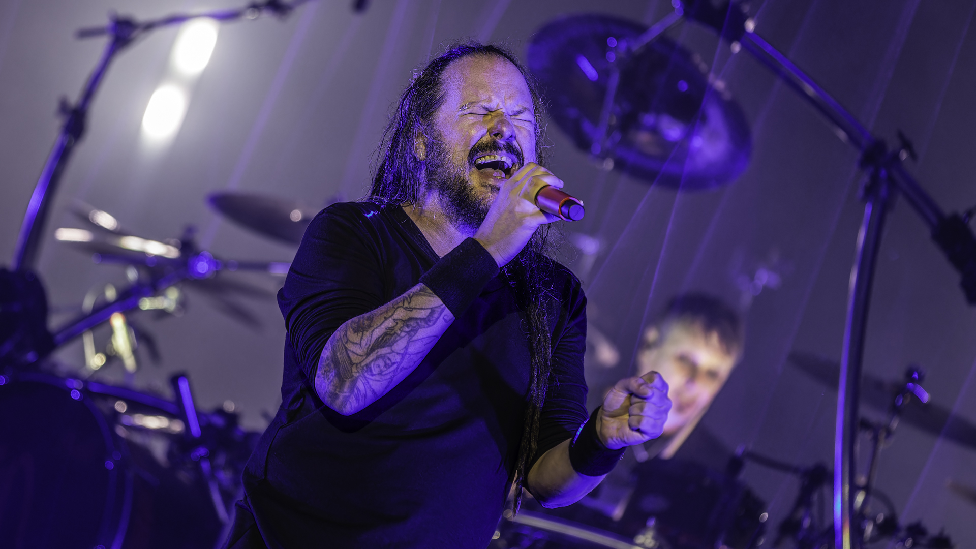 Rock im Park 2025 – Samstag: Die besten Fotos mit Korn und den Beatsteaks